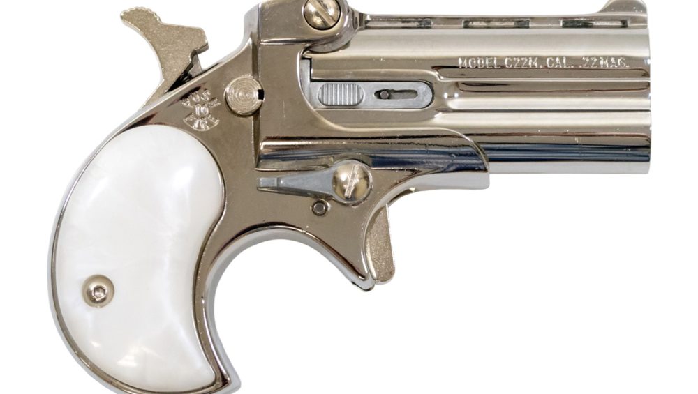 Buy 22 WMR Derringer with Chrome Finish and Pearl Grips online - Texas ...